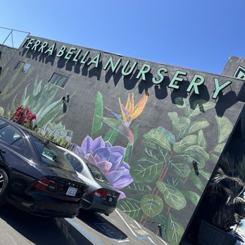TERRA BELLA NURSERY - Updated November 2024 - 333 Photos & 106 Reviews - 3535 Camino Del Rio W ...