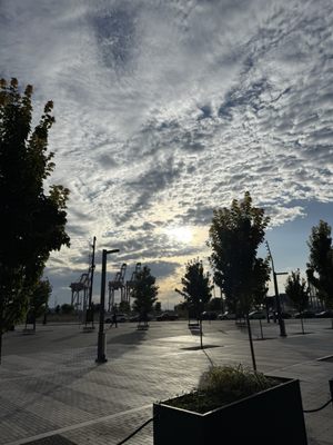 THE HALL ON OCCIDENTAL - Updated January 2026 - 39 Photos & 22 Reviews ...