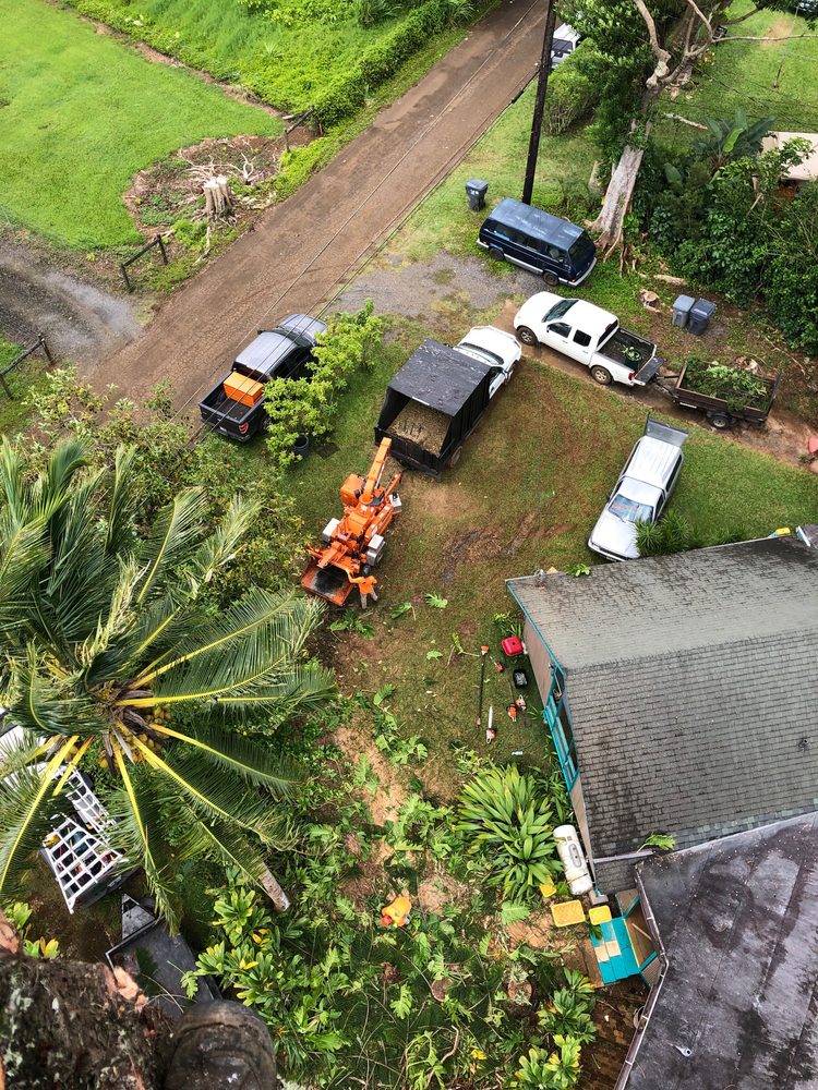 NIU MANA TREE CARE - Updated March 2026 - PO Box 882, Lihue, Hawaii ...