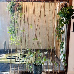 LULO KITCHEN - Updated July 2025 - 205 Photos & 125 Reviews - 1273 W ...