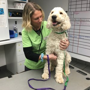 UF SMALL ANIMAL HOSPITAL - 52 Photos & 67 Reviews - Veterinarians ...