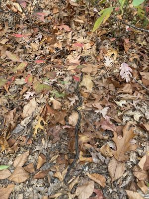 SNAKE DEN STATE PARK - Updated September 2024 - 28 Photos - 2321 ...