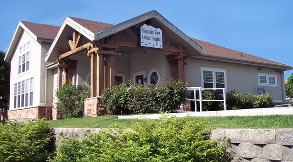 VCA MOUNTAIN VIEW ANIMAL HOSPITAL - Updated June 2026 - 15 Photos & 62 ...