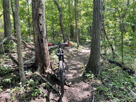 BEAVER CREEK STATE PARK - Updated October 2025 - 12021 Echo Dell Rd ...