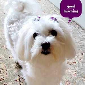 INNOVAGE HEADQUARTERS - Updated August 2025 - 8950 E. Lowry Blvd ...