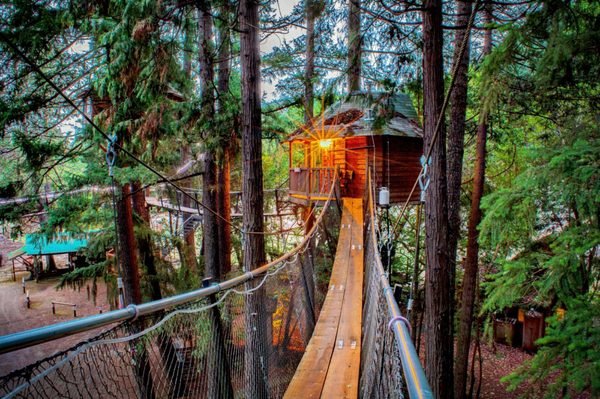 OUT’N’ABOUT TREEHOUSE TREESORT - 238 Photos & 72 Reviews - Hotels - 300 ...