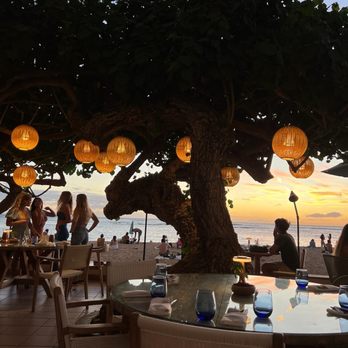 HAU TREE - Updated July 2024 - 2308 Photos & 721 Reviews - 2863 ...