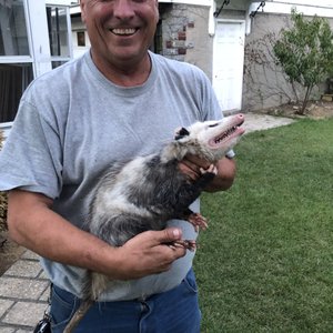 SELECT EXTERMINATING - Updated August 2025 - 59 Photos & 34 Reviews ...