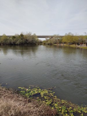 TRES RIOS WETLANDS - Updated June 2024 - 33 Photos - Phoenix, Arizona ...