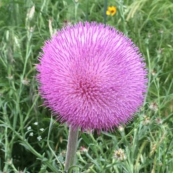 DOS RIOS RV PARK - Updated May 2025 - 130 Photos & 40 Reviews - 4500 ...