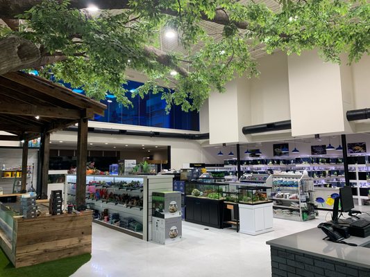 FISH GALLERY - Updated November 2024 - 35 Photos & 70 Reviews - 15003 ...