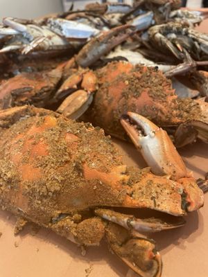 BLUE POINT CRAB HOUSE - Updated December 2025 - 54 Photos & 106 Reviews ...