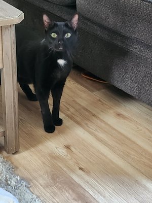 NEW HAMPSHIRE SPCA - Updated December 2025 - 16 Photos & 38 Reviews ...