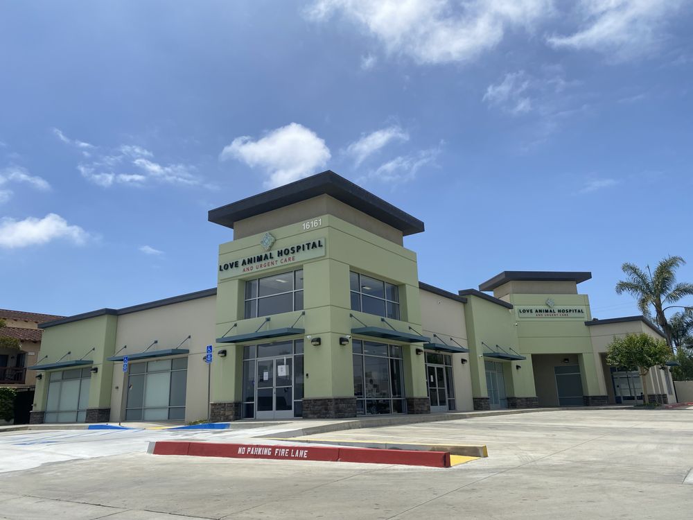 LOVE ANIMAL HOSPITAL AND URGENT CARE - Updated June 2024 - 16161 ...