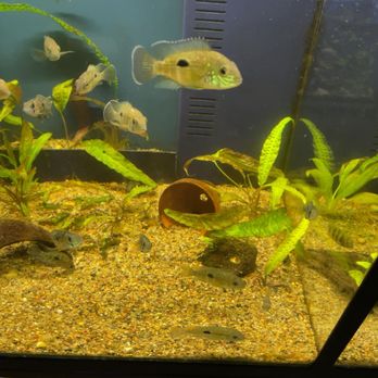 THE REEF AQUARIUM SHOP - Updated December 2025 - 133 Photos & 83 ...