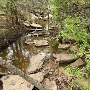 ROCKLEDGE PARK - 218 Photos & 32 Reviews - Parks - 3600 Pilot Point ...