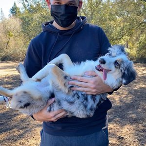 RAGLE RANCH REGIONAL PARK - 57 Photos & 43 Reviews - 500 Ragle Rd ...