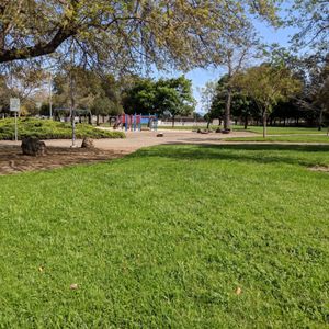 CARDOZA PARK - 54 Photos & 35 Reviews - 1351 Kennedy Dr, Milpitas, CA ...