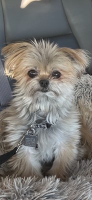 TIGARD ANIMAL HOSPITAL - Updated August 2025 - 21 Photos & 150 Reviews ...