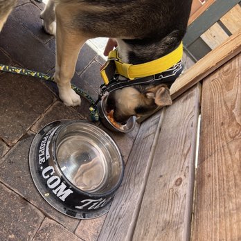 J DUB - 429 Photos & 567 Reviews - 932 NW Bond St, Bend, Oregon ...