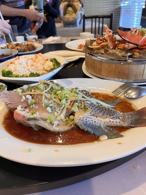 SIGNATURE PALACE RESTAURANT - Updated December 2025 - 22 Photos & 21 ...