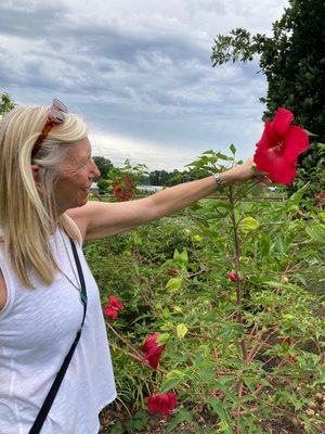 JC RAULSTON ARBORETUM - 555 Photos & 100 Reviews - 4415 Beryl Rd ...