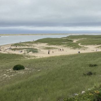 CHATHAM PIER FISH MARKET - Updated May 2024 - 410 Photos & 318 Reviews ...