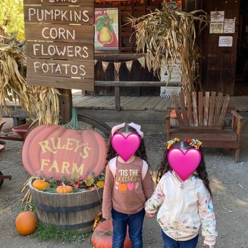 RILEY’S FARM - Updated August 2024 - 870 Photos & 404 Reviews - 12261 S ...
