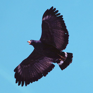 LIGHTHOUSE MANAGEMENT - Updated July 2025 - 24 Reviews - 13166 W ...