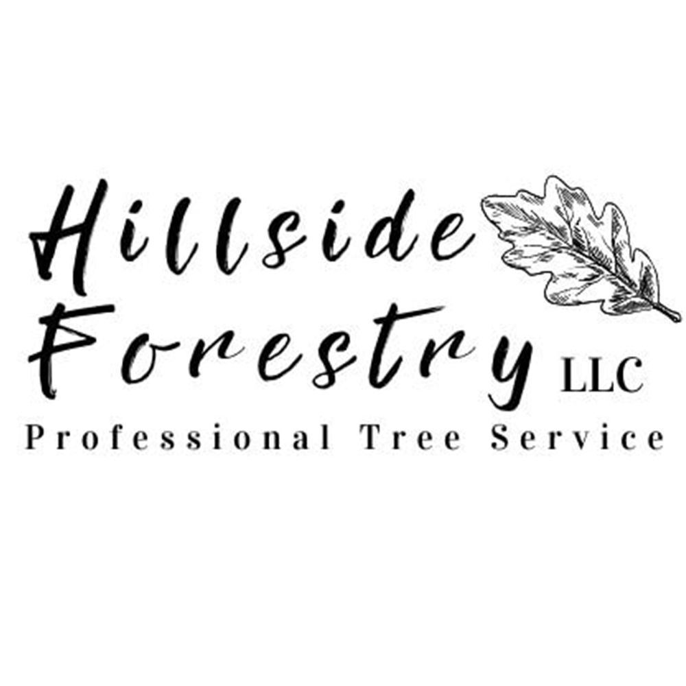 HILLSIDE FORESTRY - Updated July 2025 - Rolla, Missouri - Tree Services ...