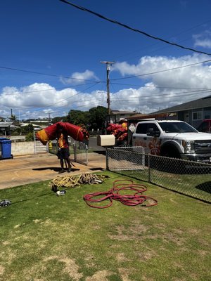 ALOHA TERMITE & PEST CONTROL - Updated December 2025 - 65 Photos & 240 ...