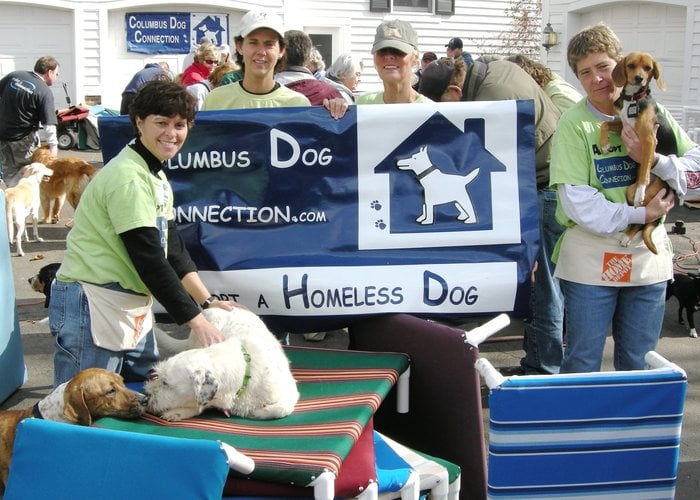 COLUMBUS DOG CONNECTION - 11 Reviews - 2761 Johnstown Rd, Columbus, OH ...