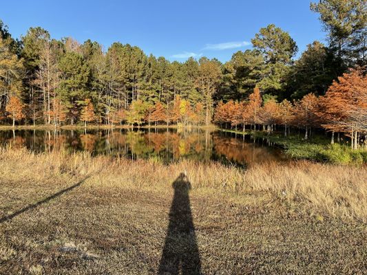 PATRIOT PARK - Updated July 2025 - 78 Photos - 380 General Dr, Sumter ...