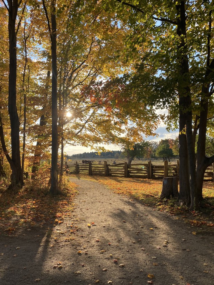 BRONTE CREEK PROVINCIAL PARK - Updated May 2024 - 199 Photos & 19 ...