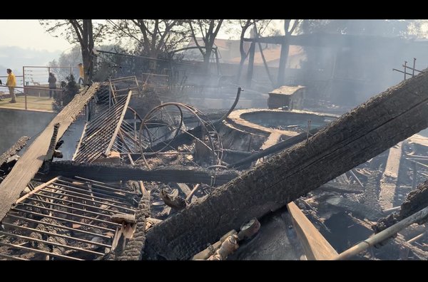 MERCURY INSURANCE - Updated January 2026 - 10 Reviews - 11000 ...