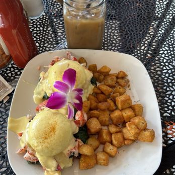 THE BOCA BEACH HOUSE - Updated March 2025 - 279 Photos & 318 Reviews ...