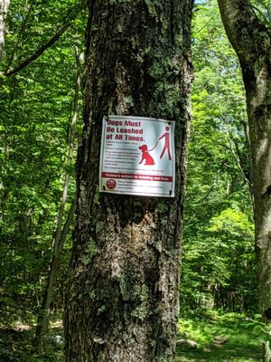 MOHAWK STATE FOREST - 35 Photos & 11 Reviews - 20 Mohawk Mountain Rd ...