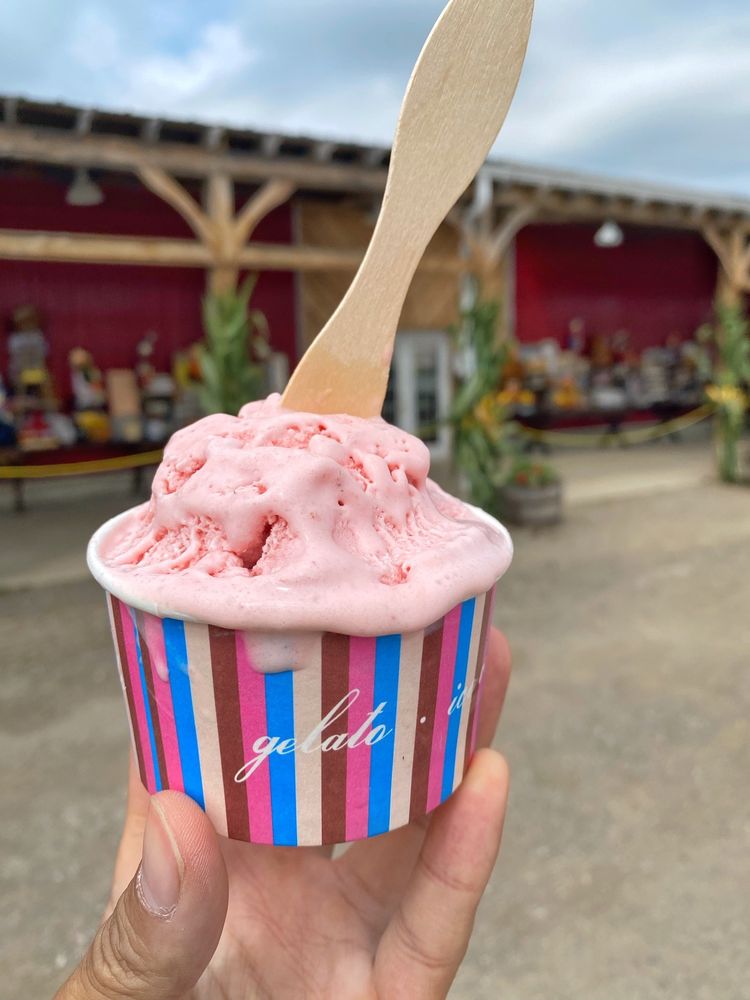 DIXIE ORCHARDS - Updated July 2025 - 53 Photos & 10 Reviews - 14309 ...