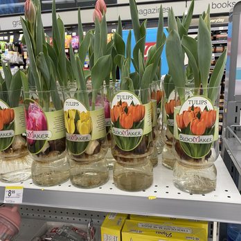 WALGREENS - Updated October 2025 - 14 Photos & 16 Reviews - 2209 ...