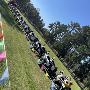 SKITTS MOUNTAIN FARMS - Updated December 2025 - 45 Photos - 7883 GA-254 ...