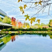 LAKESIDE COFFEE BAR - 115 Photos & 41 Reviews - 2600 Camino Ramon, San ...