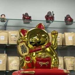 WICKED TEA CAFE - Updated October 2025 - 12 Photos & 24 Reviews - 660 ...