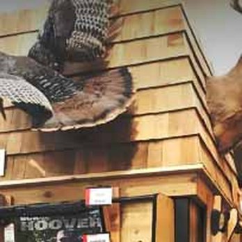 SCHEELS - Updated October 2025 - 94 Photos & 24 Reviews - 1220 12th St ...