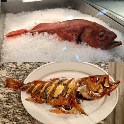 REEL FOODS FISH MARKET - 130 Photos & 124 Reviews - 1118 S Vista Ave ...