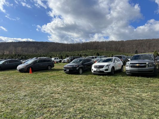 SNICKERS GAP CHRISTMAS TREE FARM - TEMP. CLOSED - Updated April 2025 ...