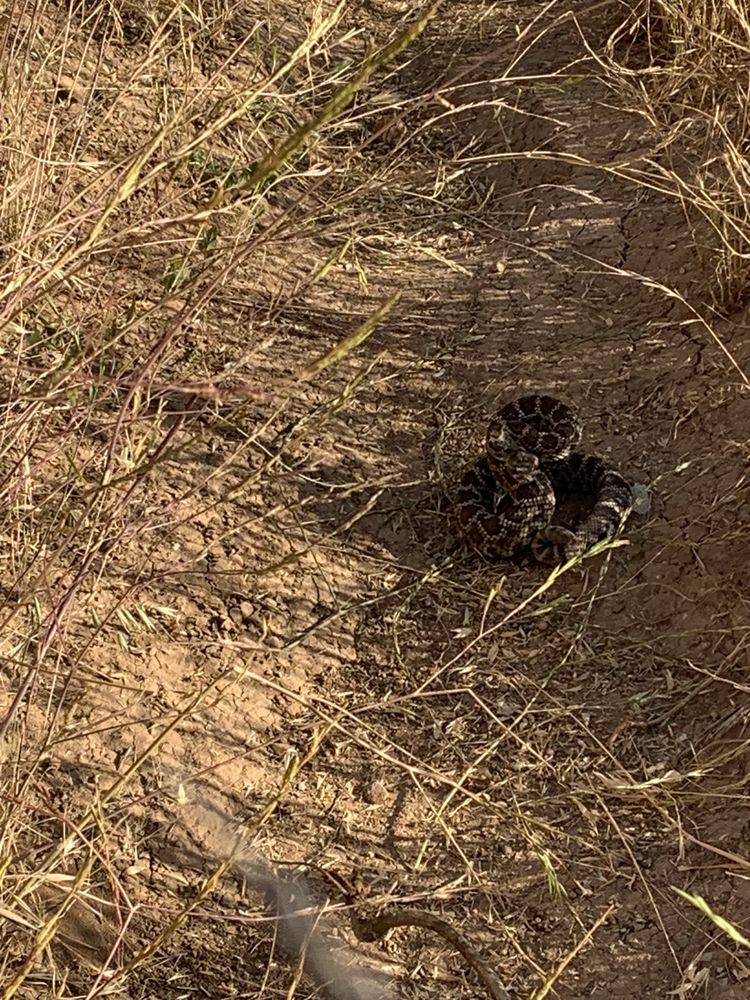 DEL CERRO PARK - Updated May 2024 - 713 Photos & 232 Reviews - 2 Park ...