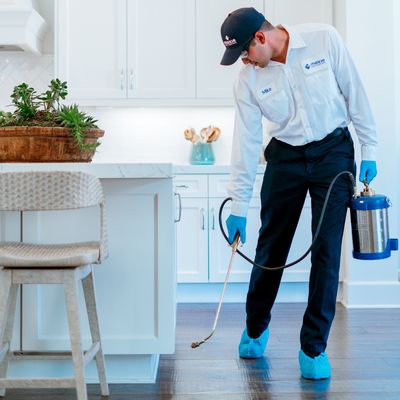 MOXIE PEST CONTROL - Updated September 2025 - 101 Photos & 468 Reviews ...