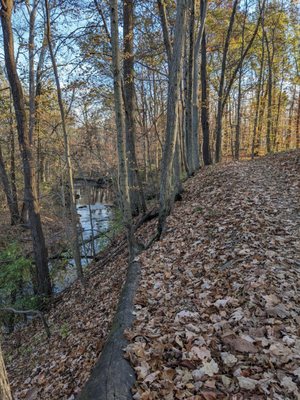 PAUL RUSTER PARK - Updated October 2025 - 58 Photos & 15 Reviews ...