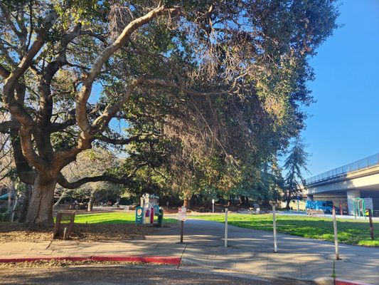 FROG PARK - Updated November 2025 - 71 Photos & 50 Reviews - 5500 ...