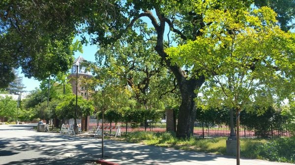 SANTA ROSA JUNIOR COLLEGE - Updated November 2025 - 65 Photos & 73 ...